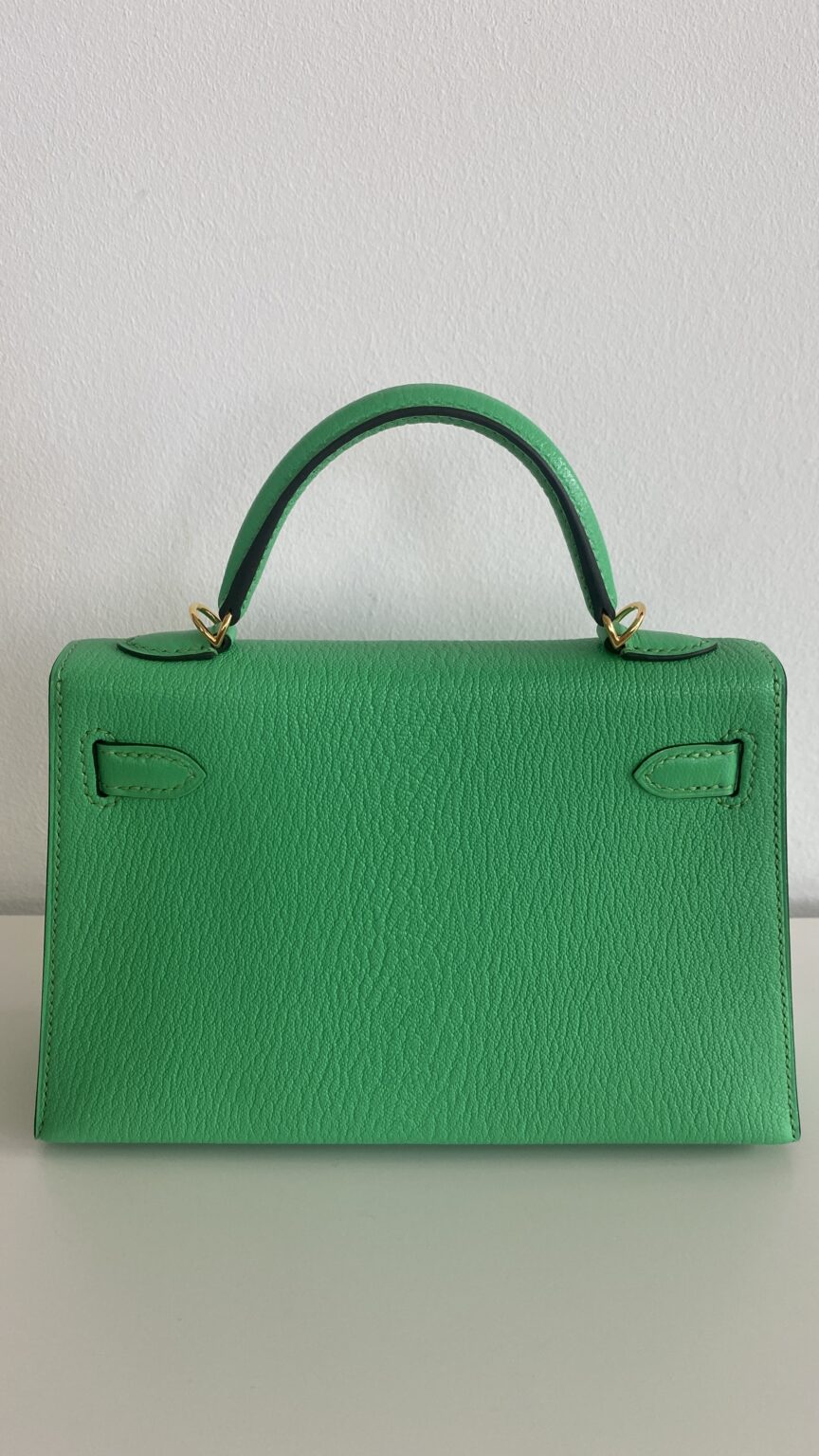 Hermès Mini Kelly 20 Vert Comics Chèvre Mysore With Gold Hardware – AG ...