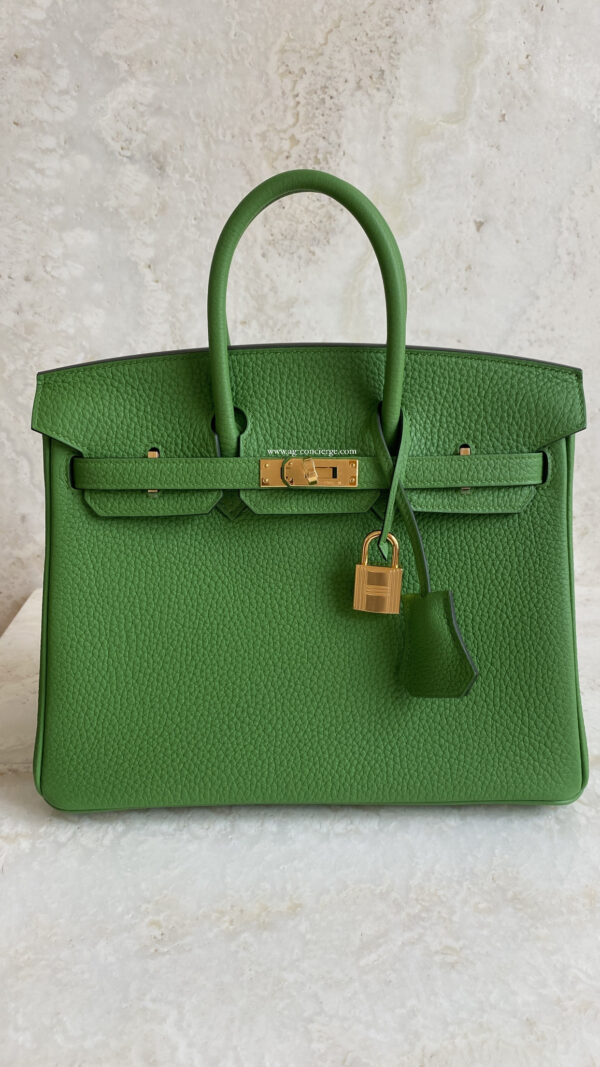 Hermès Birkin 25 Vert Yucca Togo With Gold Hardware - AG Concierge Fzco
